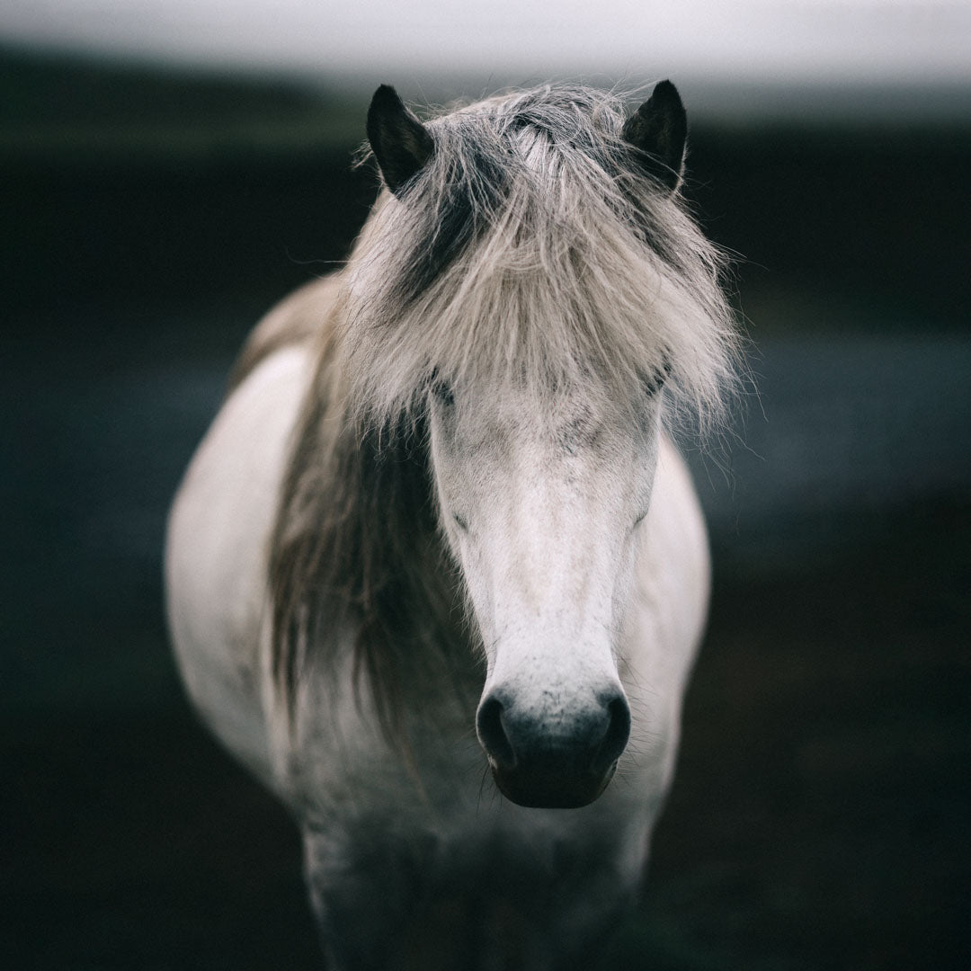 Adam Biernat Studio – Collect Fine Art from Iceland’s Edges