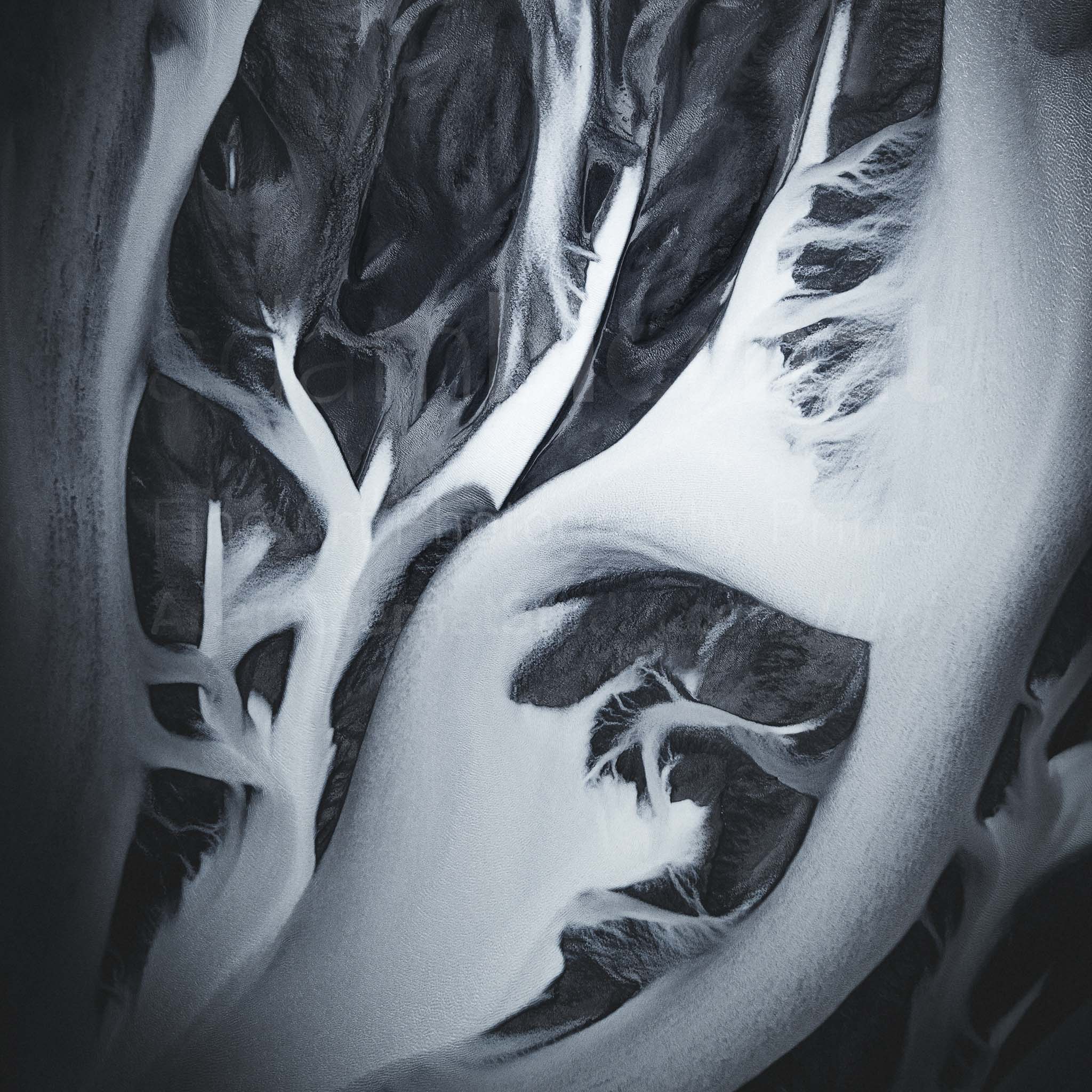 All Photography Prints – Page 2 – Adam Biernat Studio